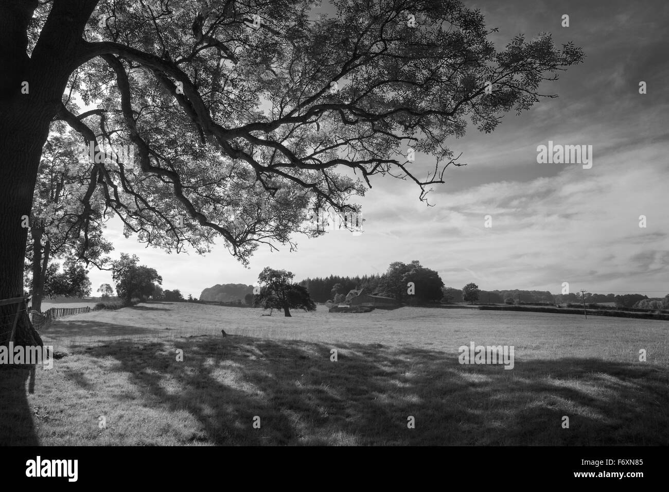Cotswold rural countryside Black and White Stock Photos & Images - Alamy