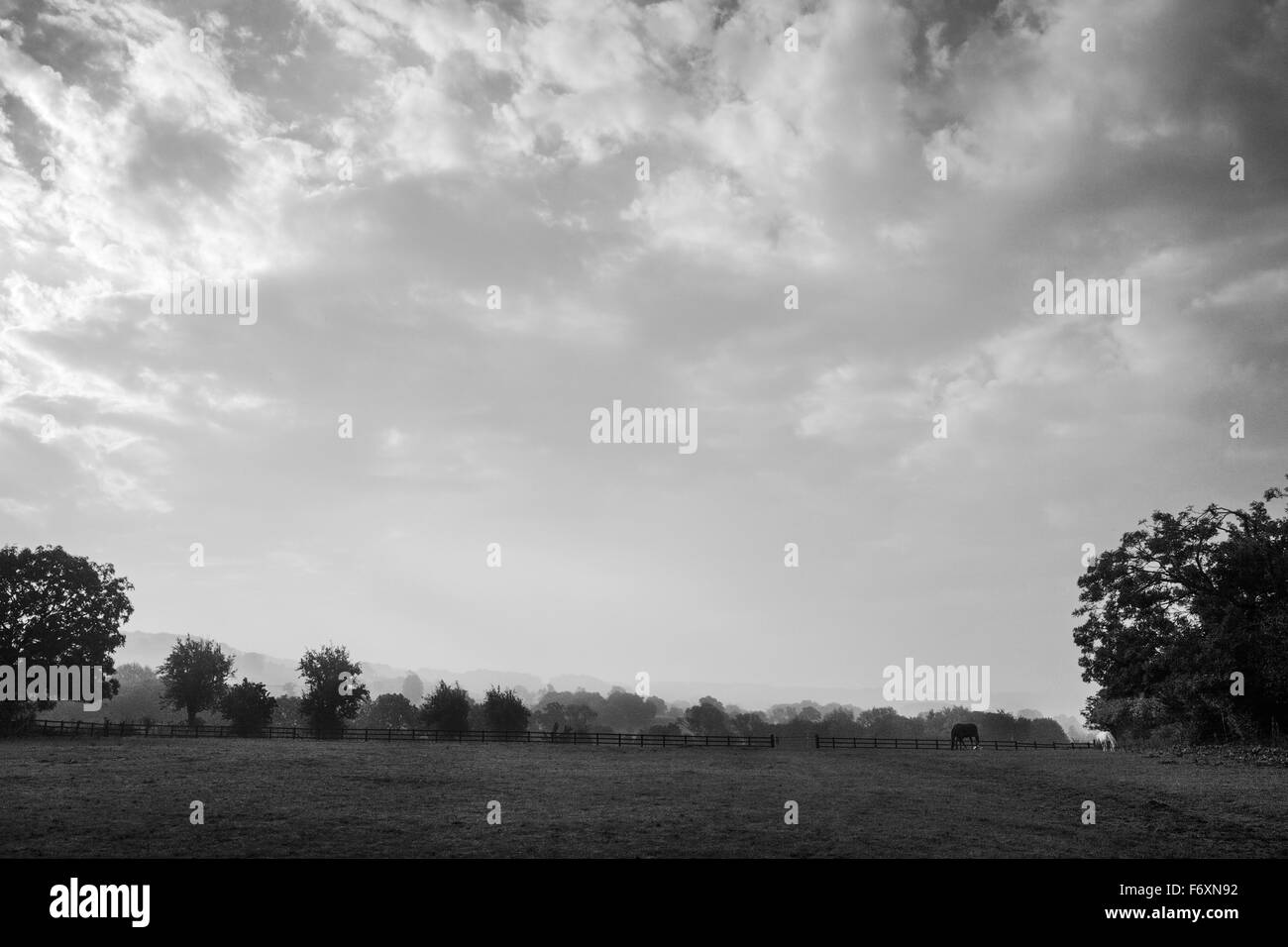 Beautiful scenic trees in the countryside Black and White Stock Photos ...