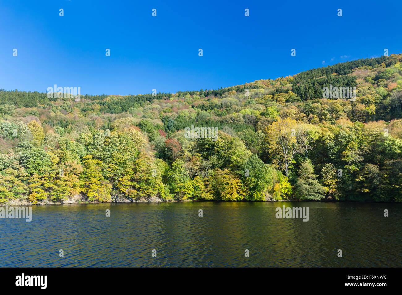 Lake Rursee Obersee shore with blue sky and sunlight in summer Stock ...