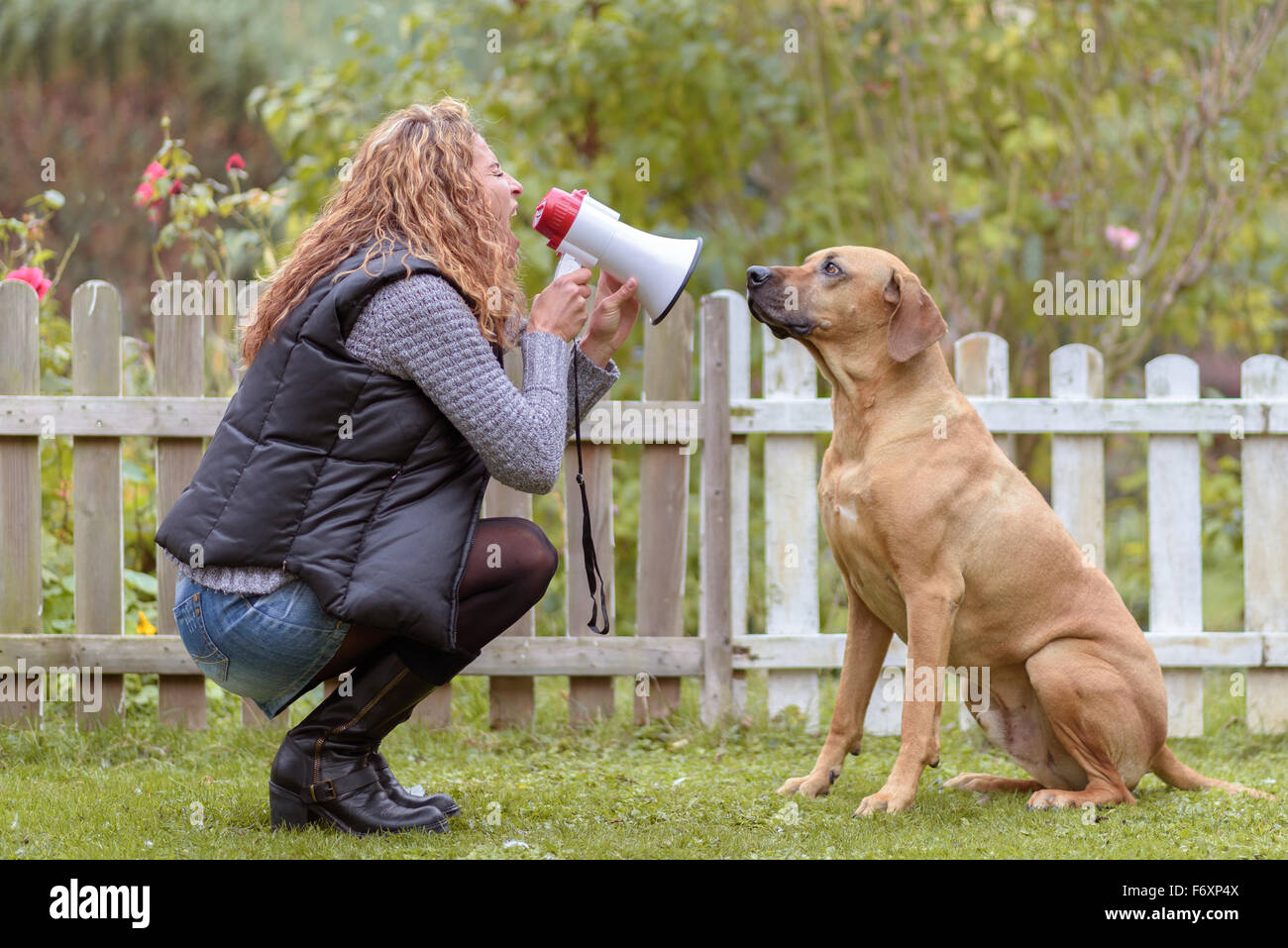 Attractive trendy young woman talking to her dog using a megaphone ...