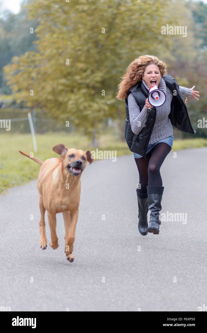 Woman yelling at dog hi-res stock photography and images - Alamy