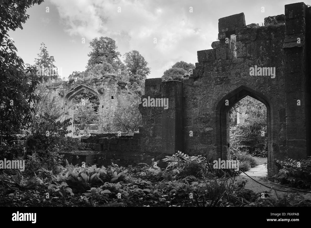 View of medieval castle ruins in castle grounds Stock Photo - Alamy