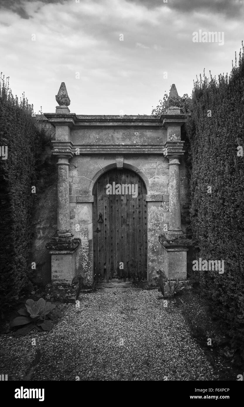 Narrow pathway through green hedges, with an old wood door stoping your ...