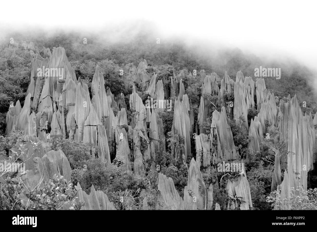 Pinnacles gunung mulu national park Black and White Stock Photos ...