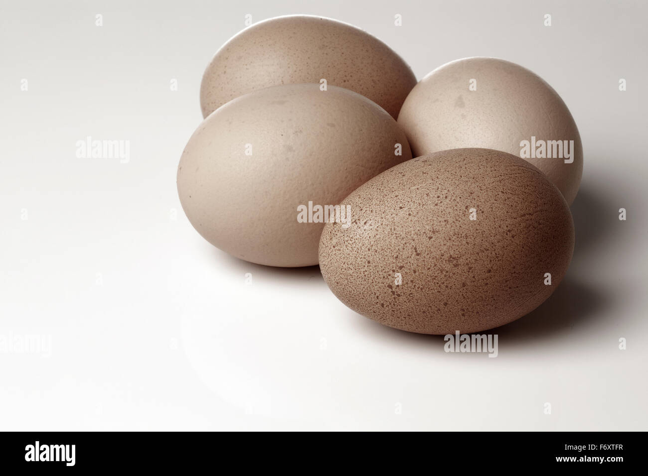 Four eggs shapes hi-res stock photography and images - Alamy