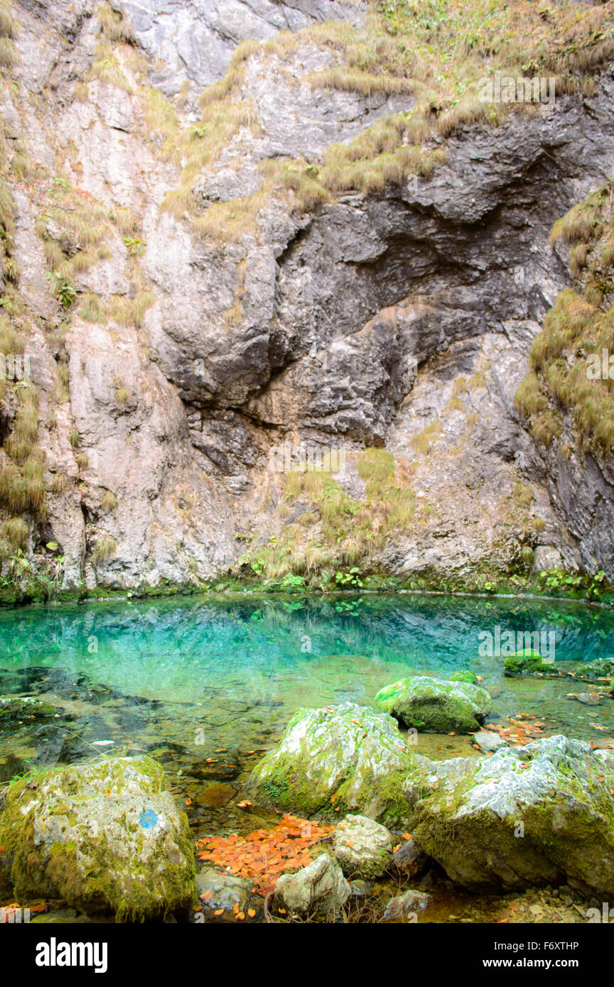 Tauz underground spring, Apuseni mountains, Romania Stock Photo - Alamy