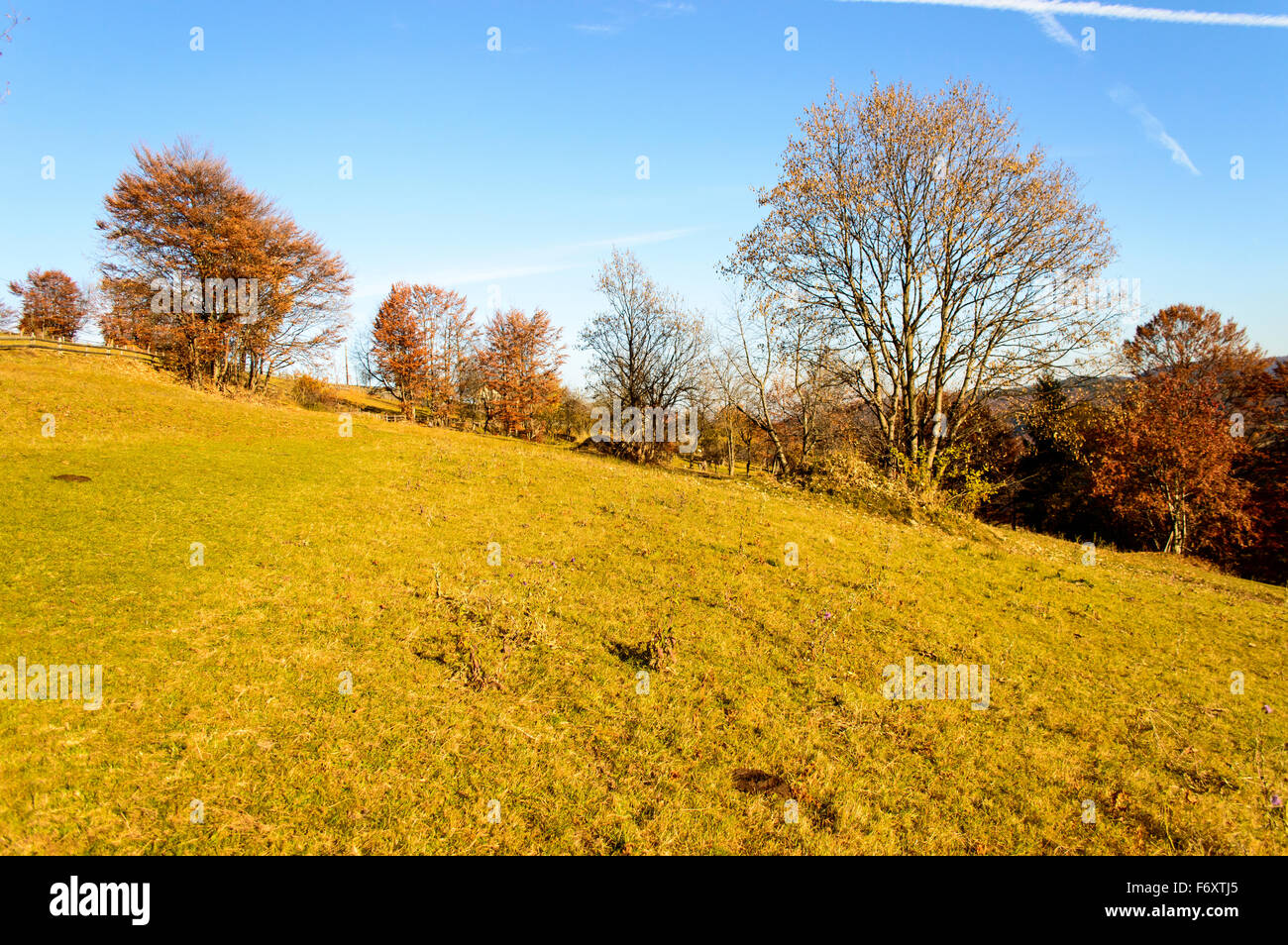 Colorful autumn landscape in the mountains Stock Photo - Alamy