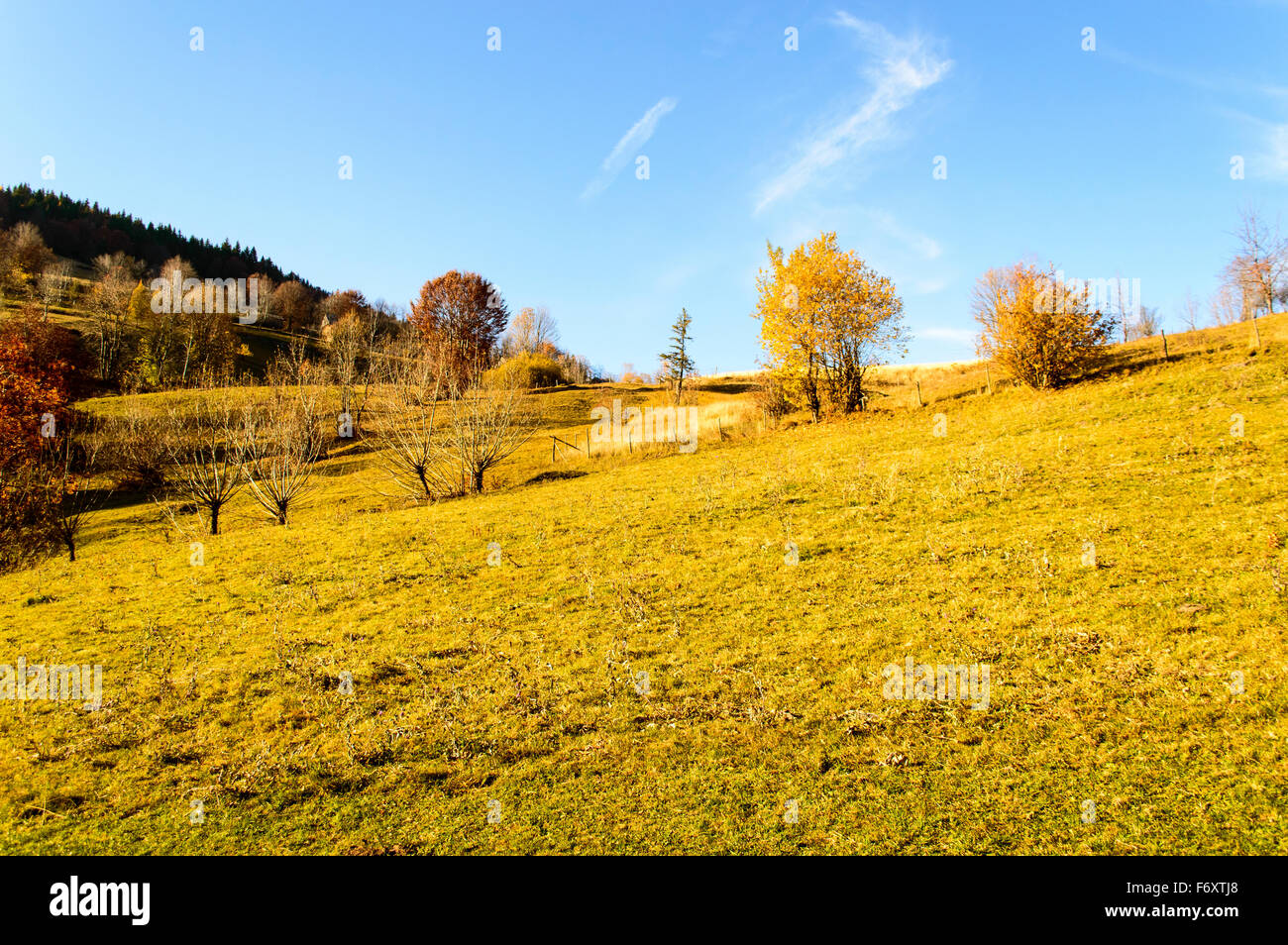 Colorful autumn landscape in the mountains Stock Photo - Alamy