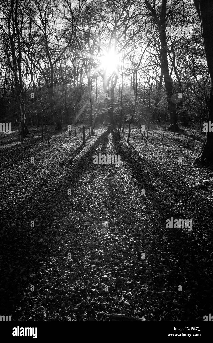 Beautiful parks uk Black and White Stock Photos & Images - Alamy