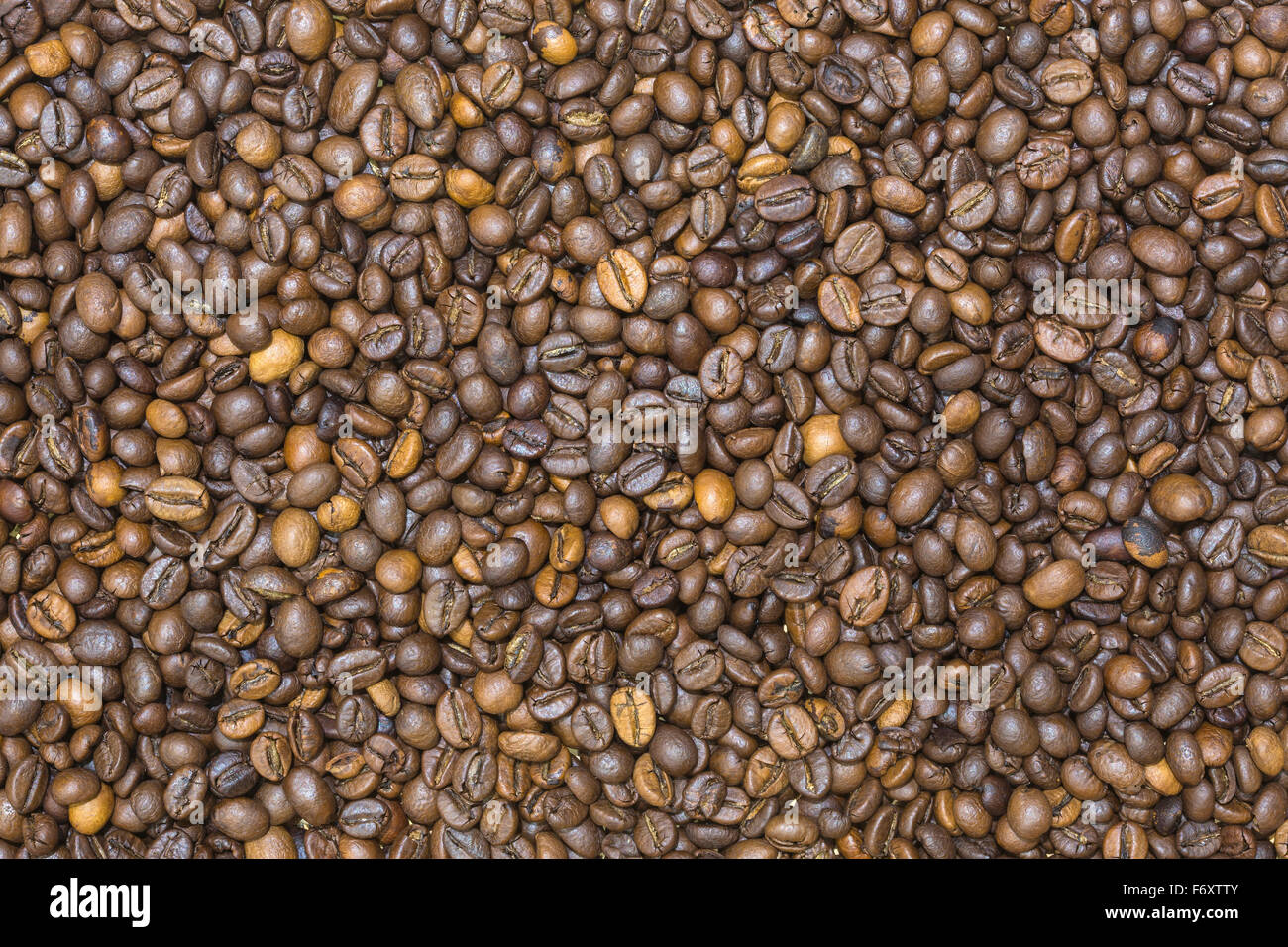 Beans can hi-res stock photography and images - Alamy