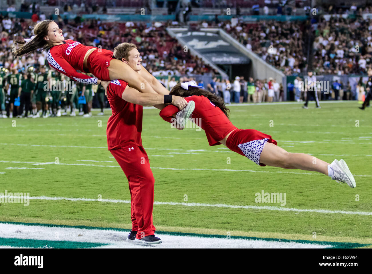 November 20, 2015: Cincinnati Bearcats cheerleaders in action during ...