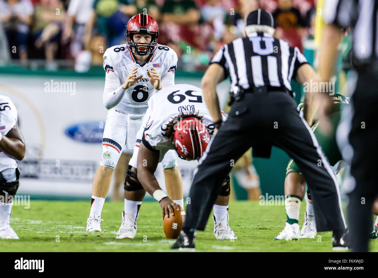 November 20, 2015: Cincinnati Bearcats quarterback Hayden Moore #8 ...