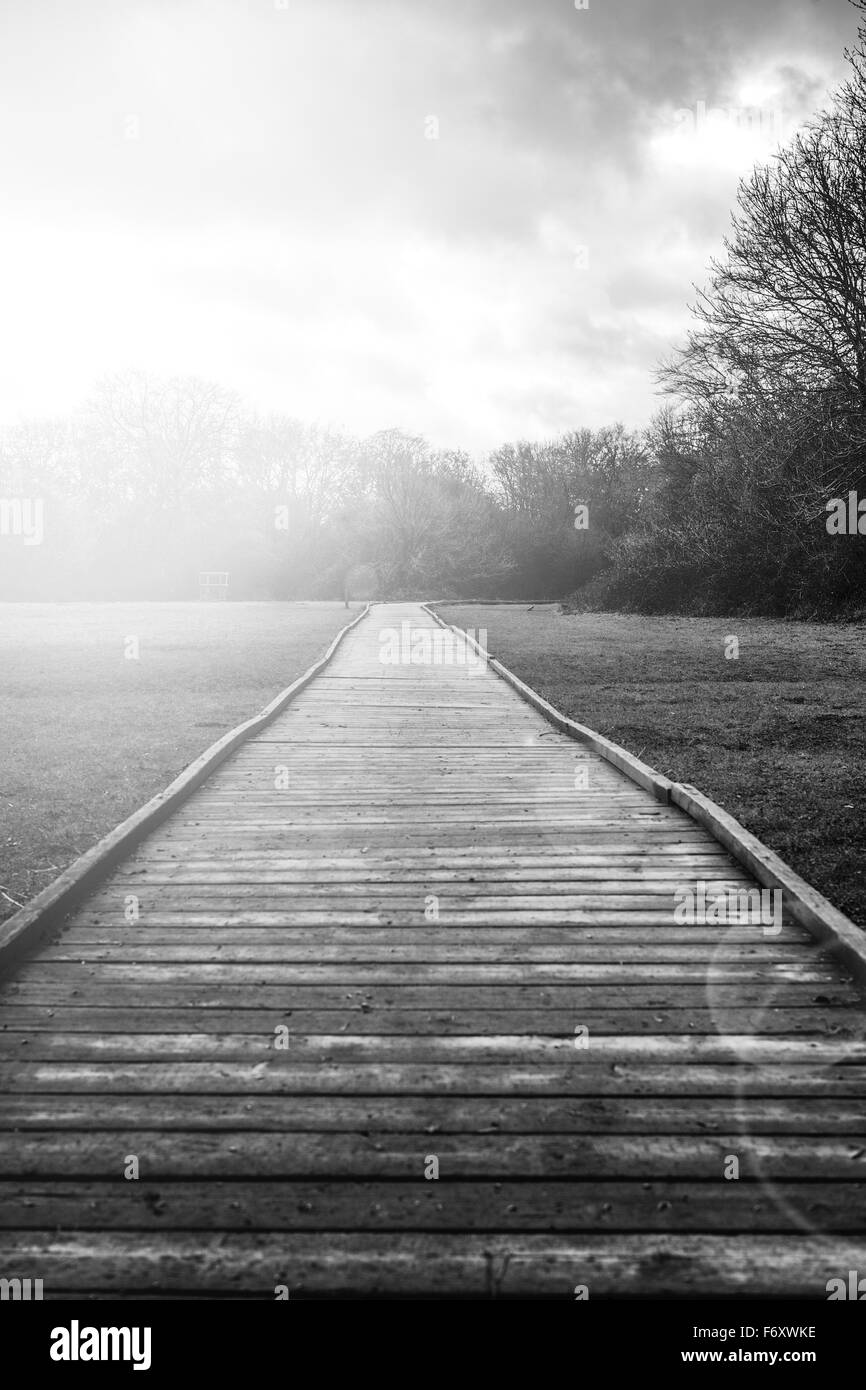 Narrow wooden walkway along heading of into a forest Stock Photo - Alamy