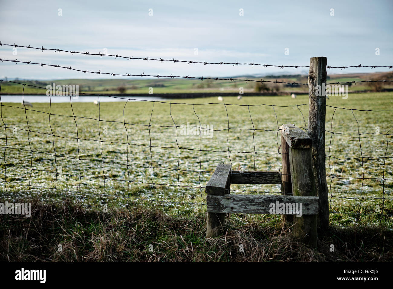 Stile Over Barbed Wire Fence Stock Photos & Stile Over Barbed Wire ...