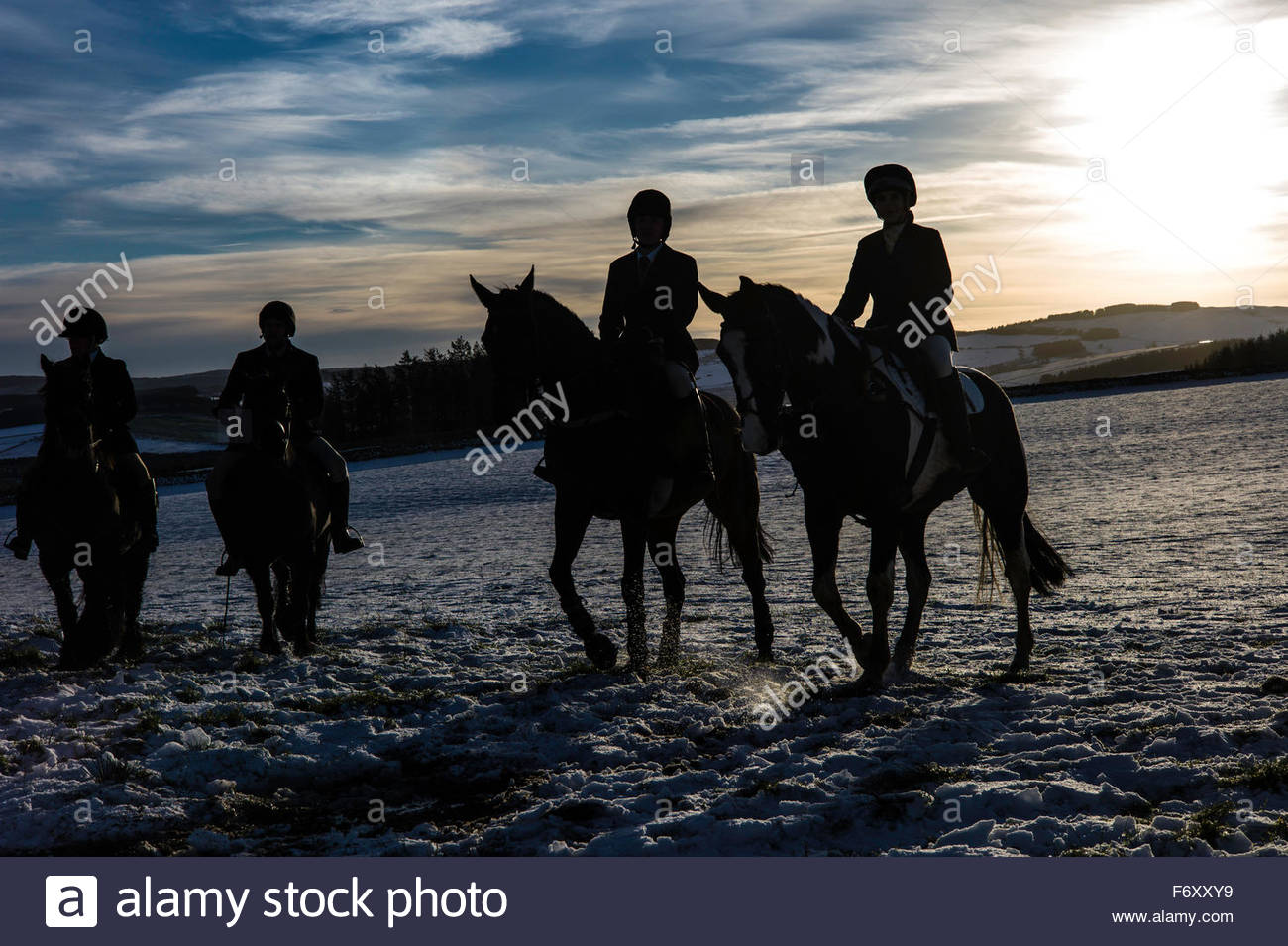 Jedforest Hunt Stock Photos & Jedforest Hunt Stock Images - Alamy