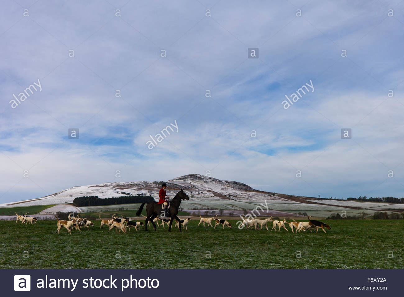 Jedforest Hunt Stock Photos & Jedforest Hunt Stock Images - Alamy