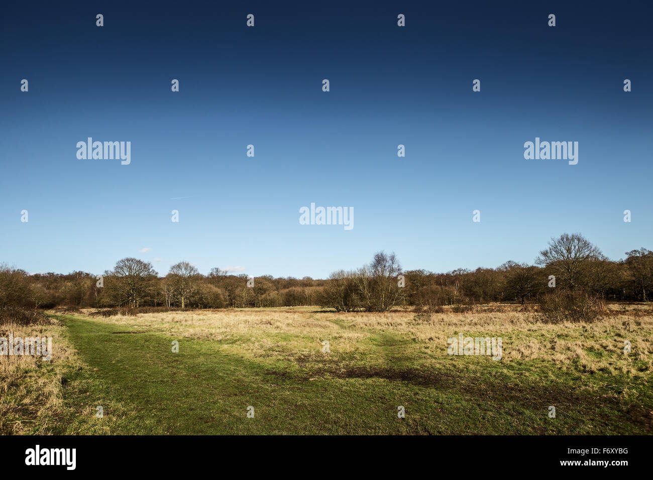 nature scenery under sky, pictoresque landscape looking across to a ...