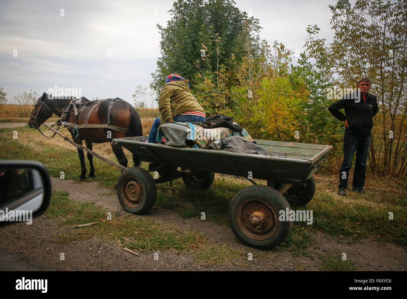 Wagon pulled by horse hi-res stock photography and images - Alamy