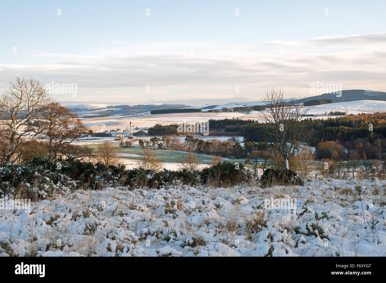 Kennethmont, Scotland, UK. 21st Nov, 2015. Winter Snow scene ...