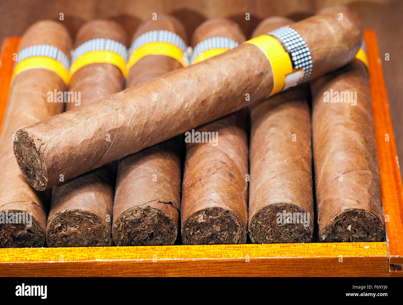 The Cuban cigars, hand made Stock Photo - Alamy