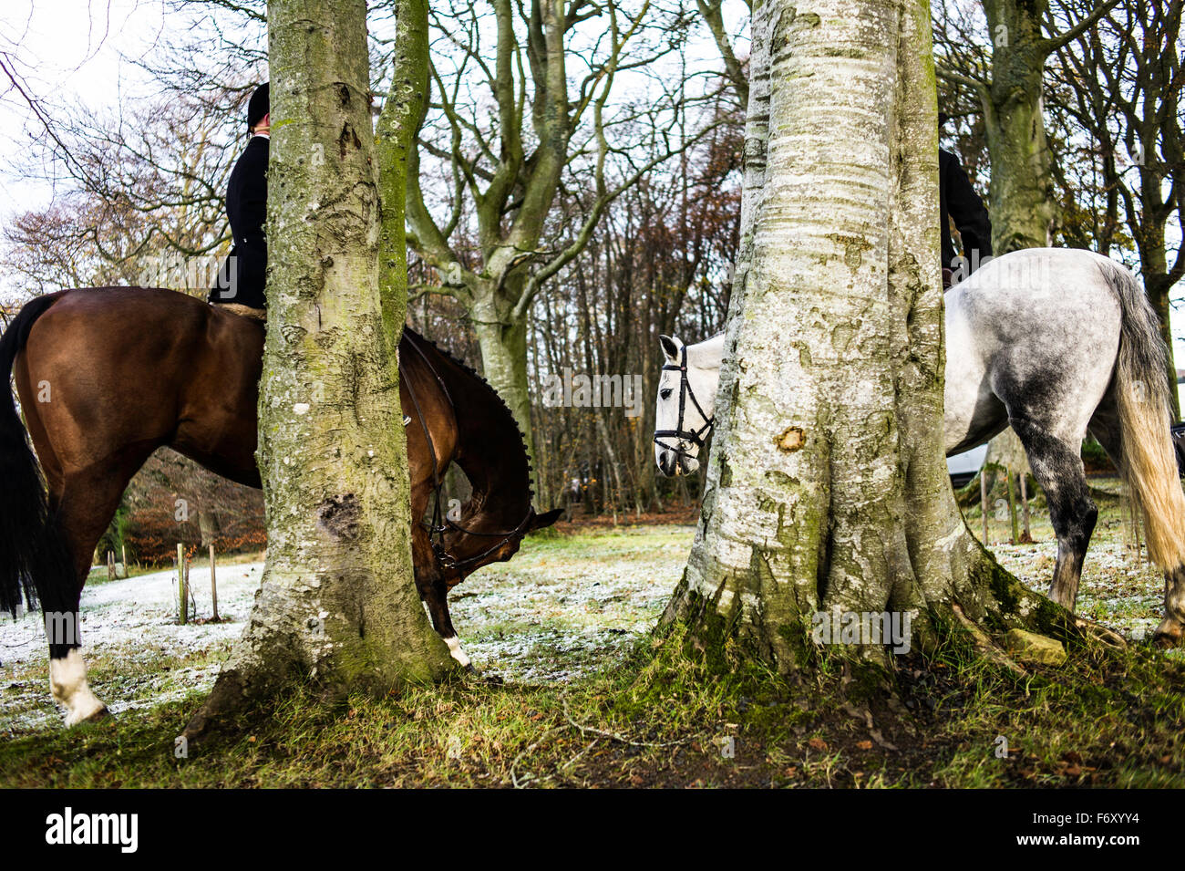 Bonchester Bridge Hawick Scottish Borders High Resolution Stock ...