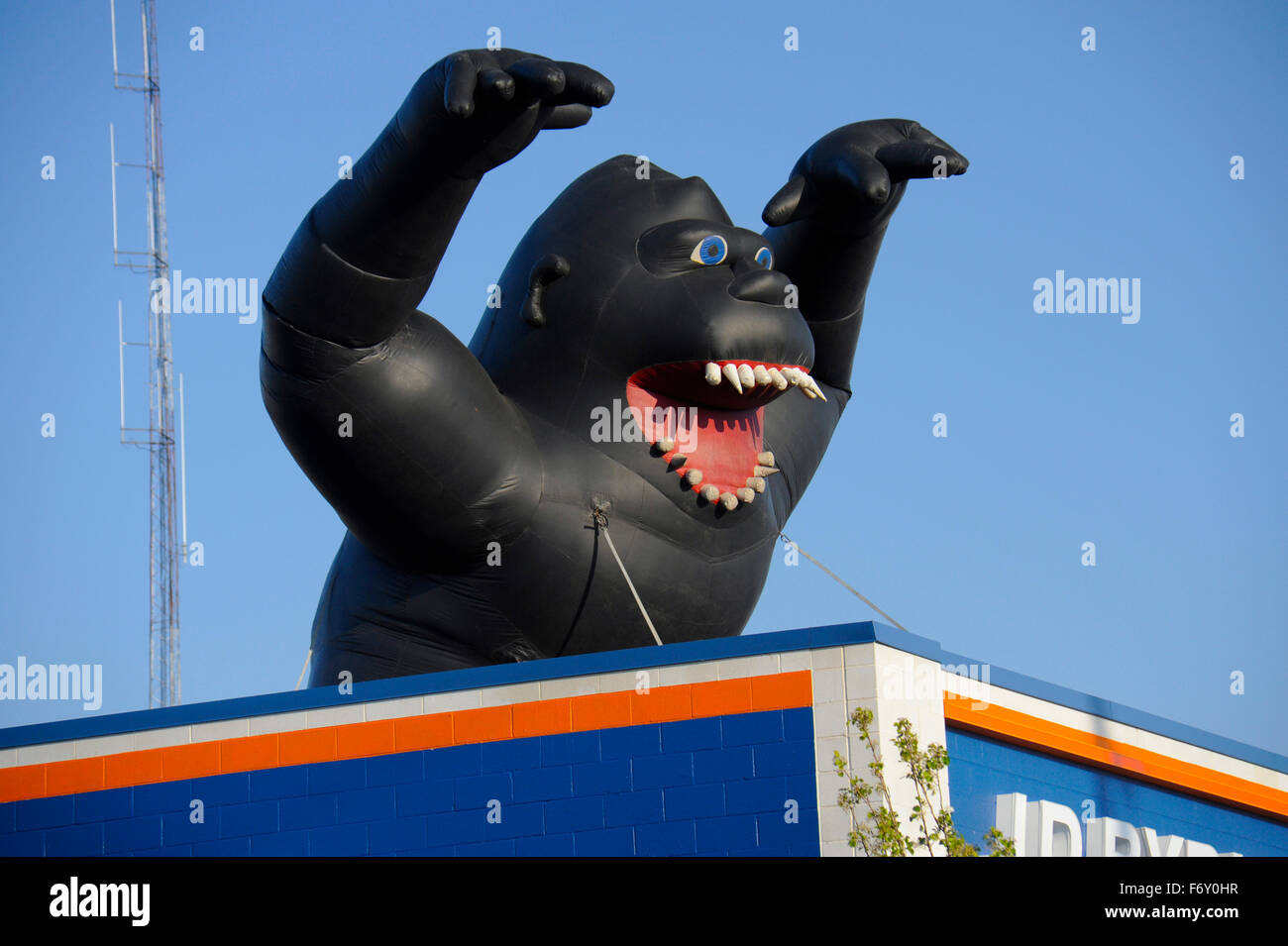 Marketing stunt with giant inflatable gorilla at Car dealership Stock ...