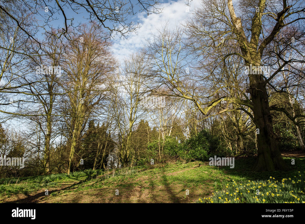 landscape view of the lovely Essex countryside in England Stock Photo ...