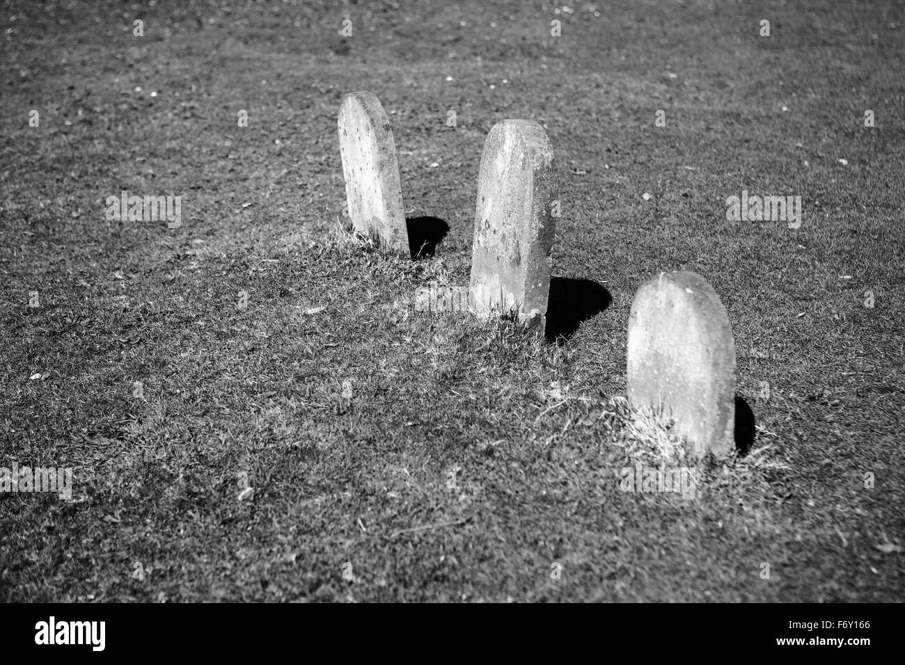Three small blank grave stones in a line Stock Photo - Alamy