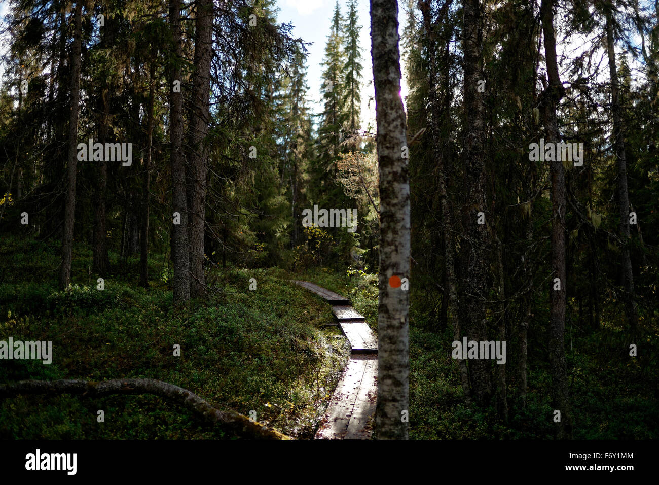 Autti finland hi-res stock photography and images - Alamy