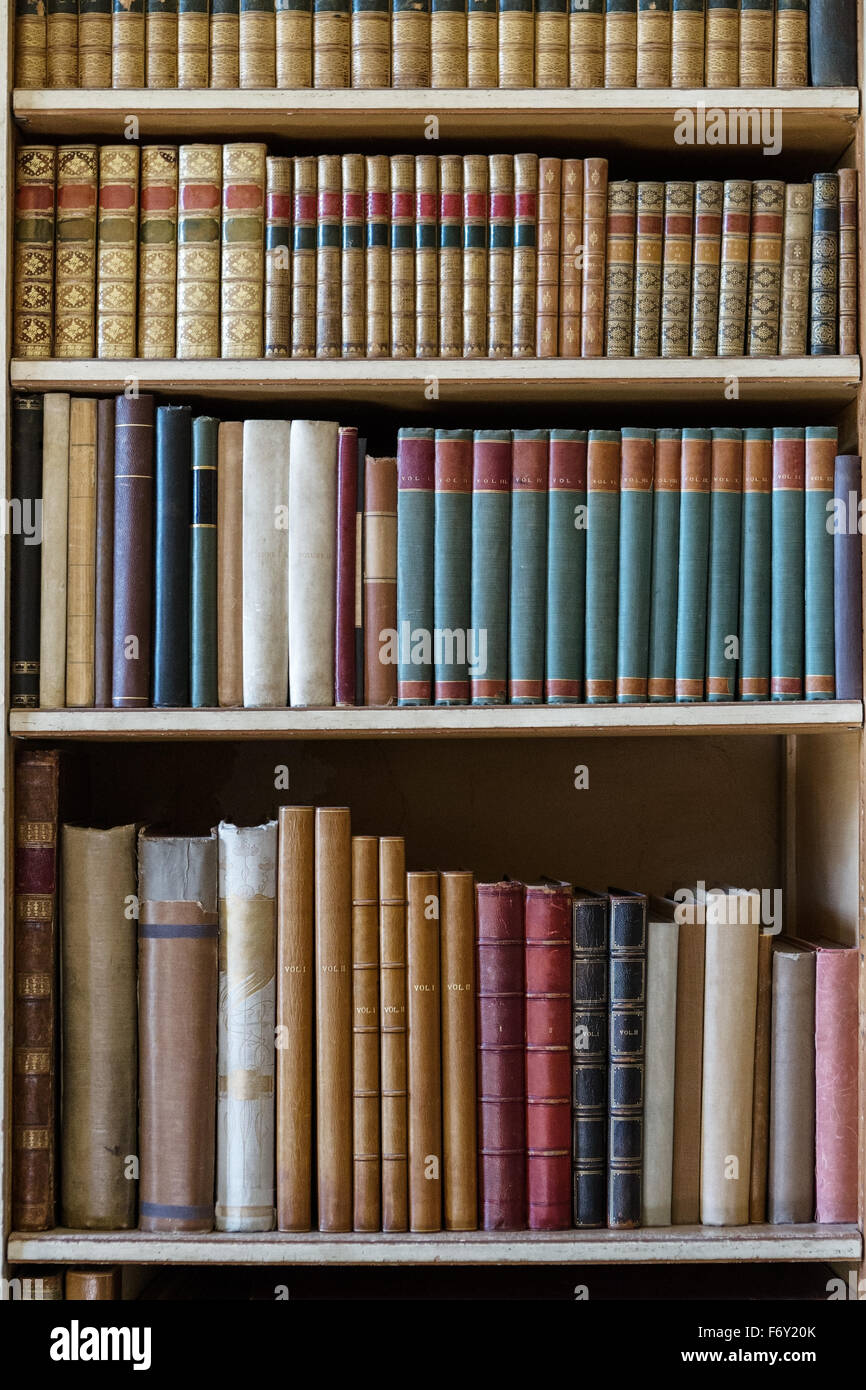 Bookcase many old books in hi-res stock photography and images - Alamy
