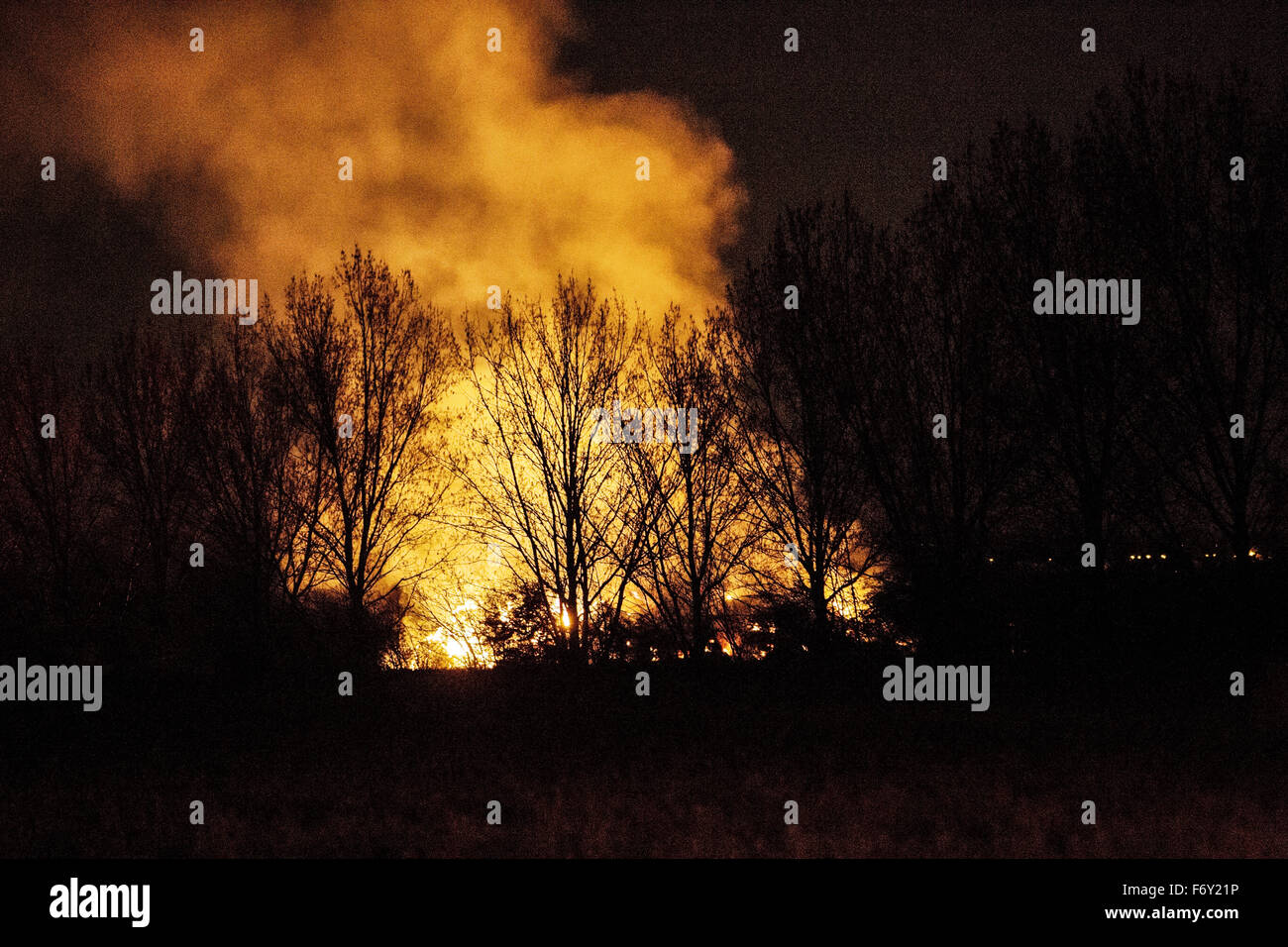 burning a large bonfire behind trees at night Stock Photo - Alamy