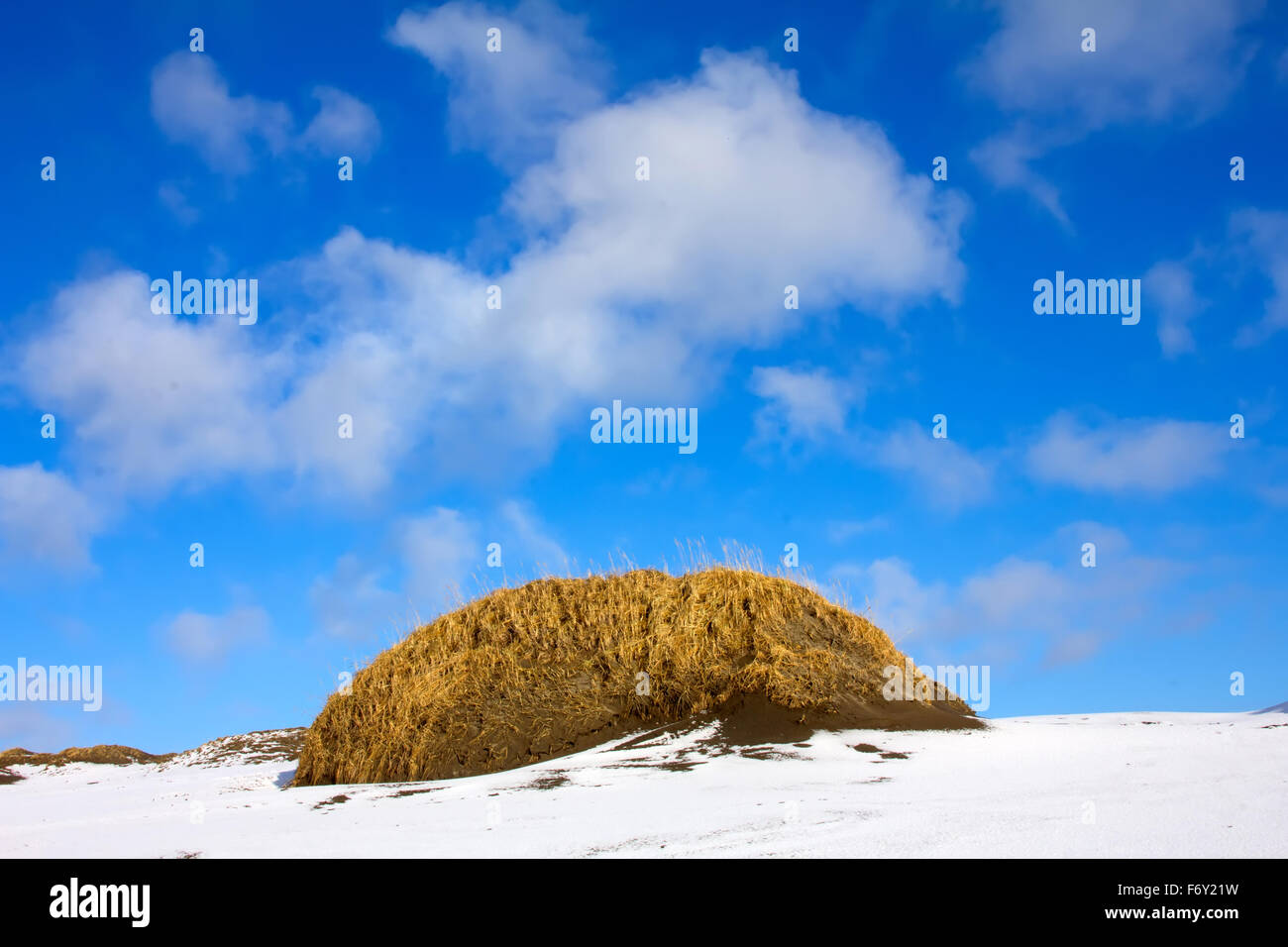 Tundra in winter ( Commander Islands Stock Photo - Alamy
