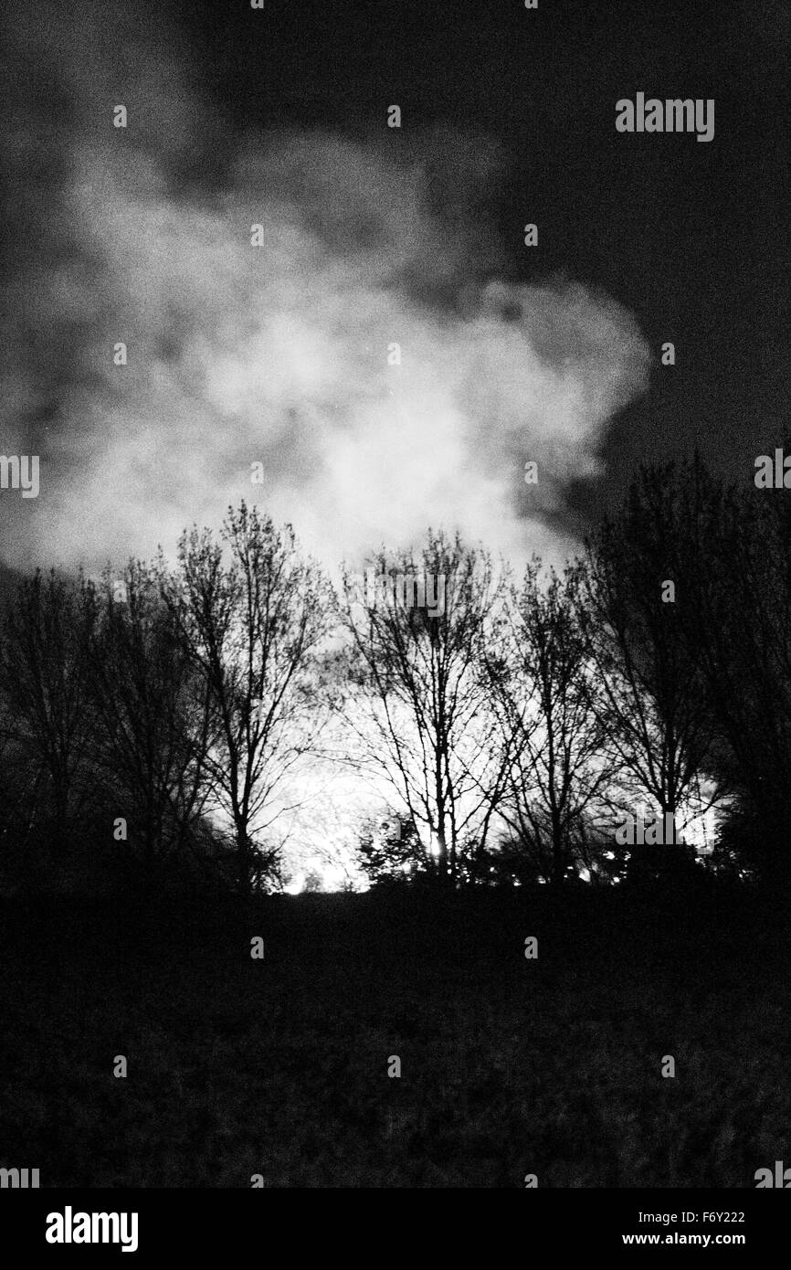 burning a large bonfire behind trees at night Stock Photo - Alamy