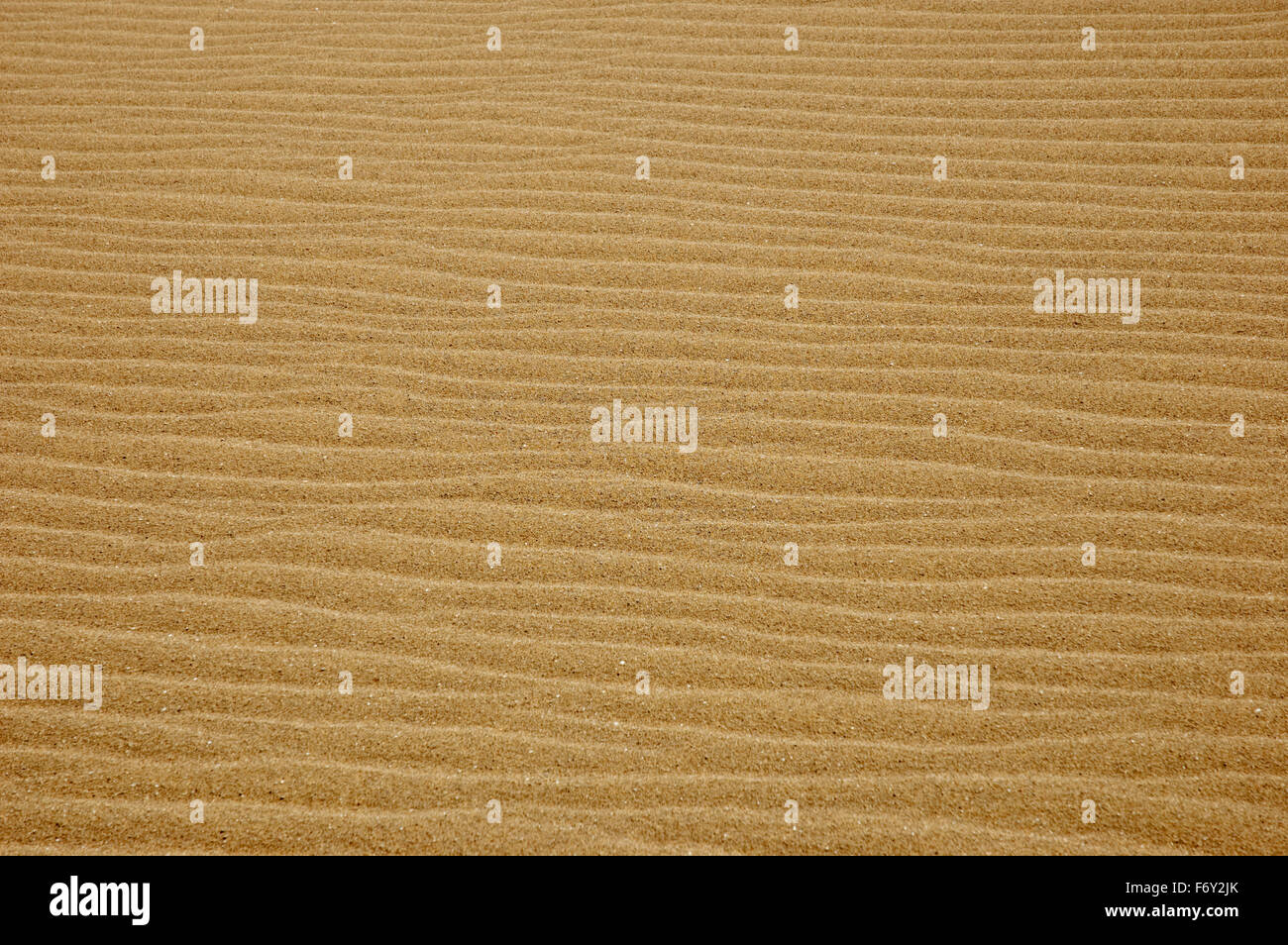 Ripples in the sand formed by prevailing winds, in the sand dunes of ...