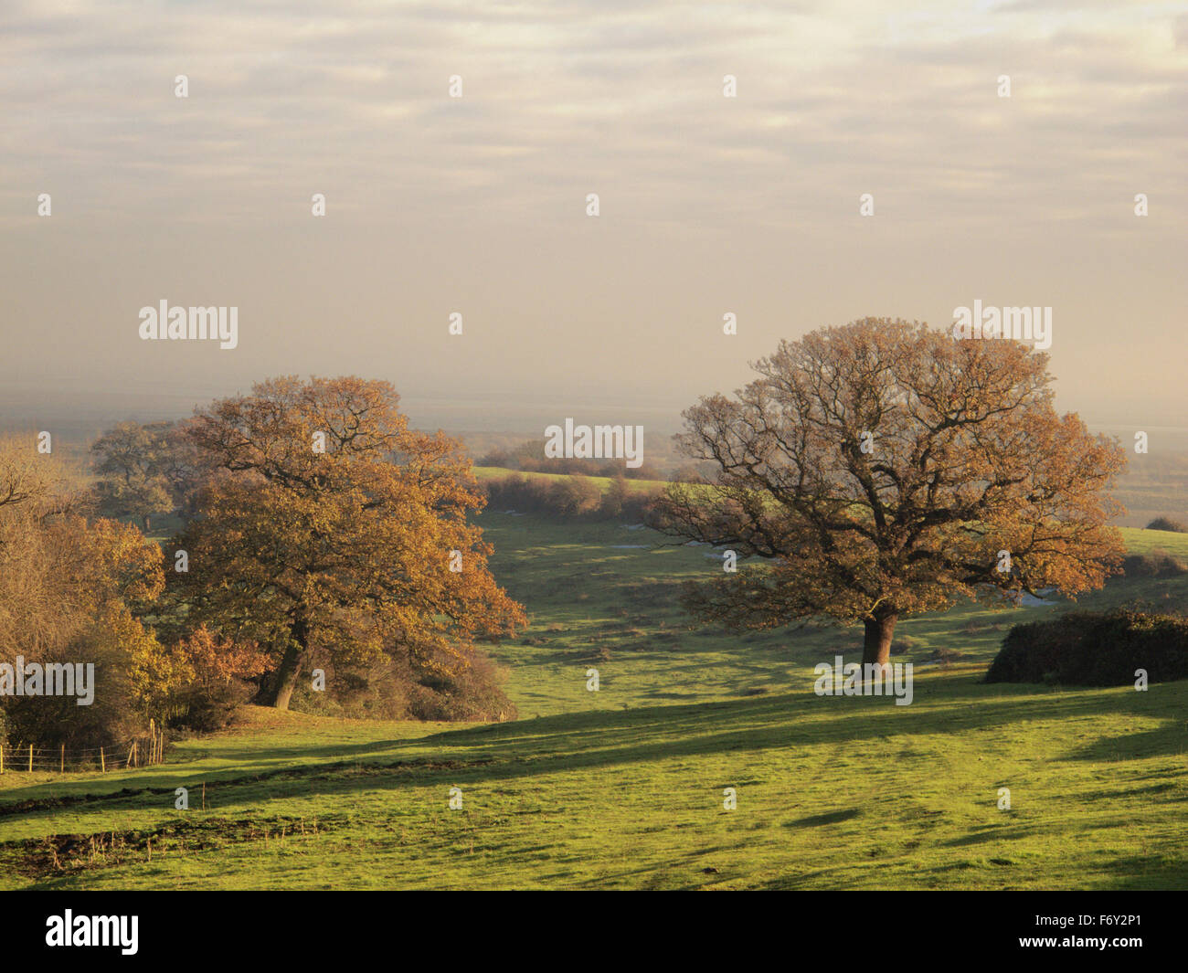 Landscape image showing natural hi-res stock photography and images - Alamy