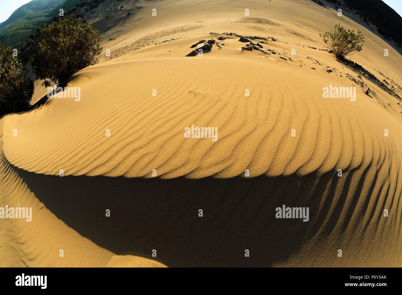 Groovy sand patterns and lines formed by natural erosions in Gomati ...