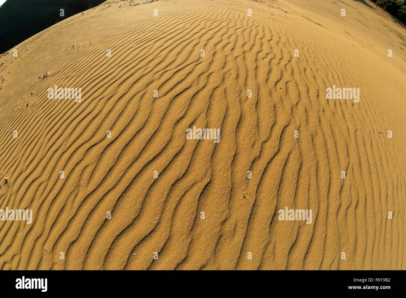 Windswept sand layer patterns. Gomati sand dunes, Katalako village ...