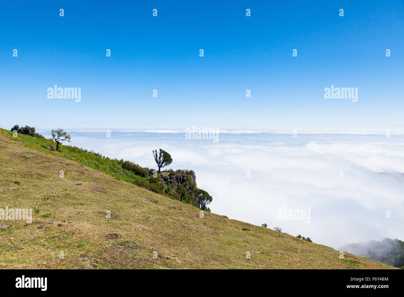 Madeira mountain hi-res stock photography and images - Alamy