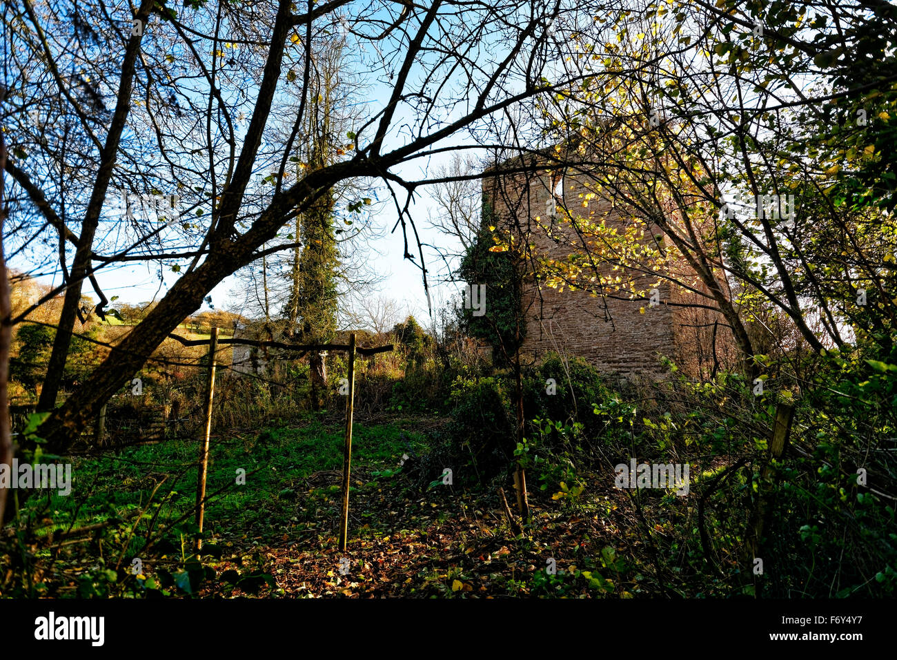 Avenbury St Marys church founded in 840 AD rebuilt in Norman times; the ...