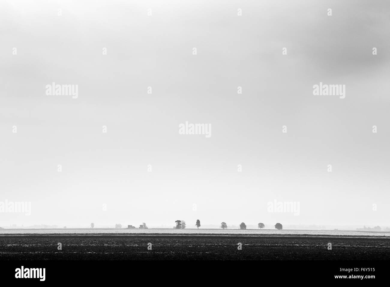 trees in the distant of a countryside fram land scene in essex Stock ...