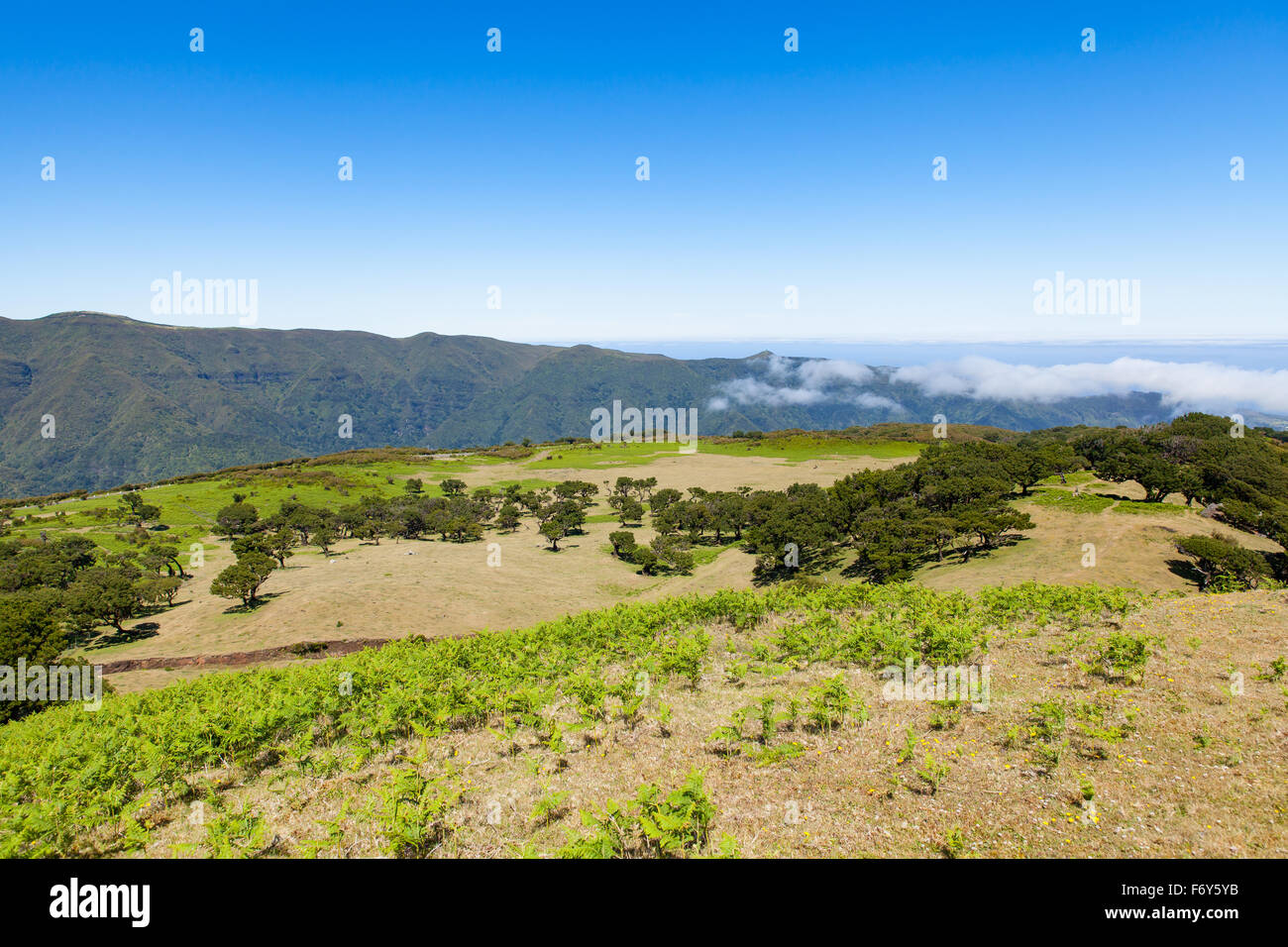 madeira mountain landscape under a blue sky Stock Photo - Alamy