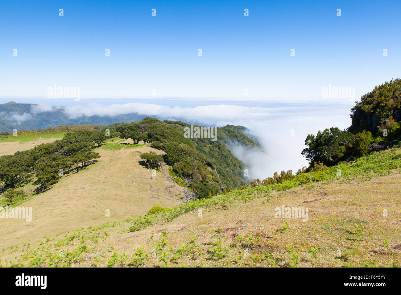 madeira mountain landscape under a blue sky Stock Photo - Alamy