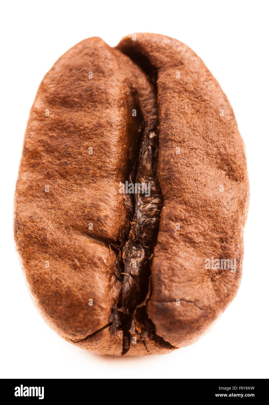 White beans background many Cut Out Stock Images & Pictures - Alamy