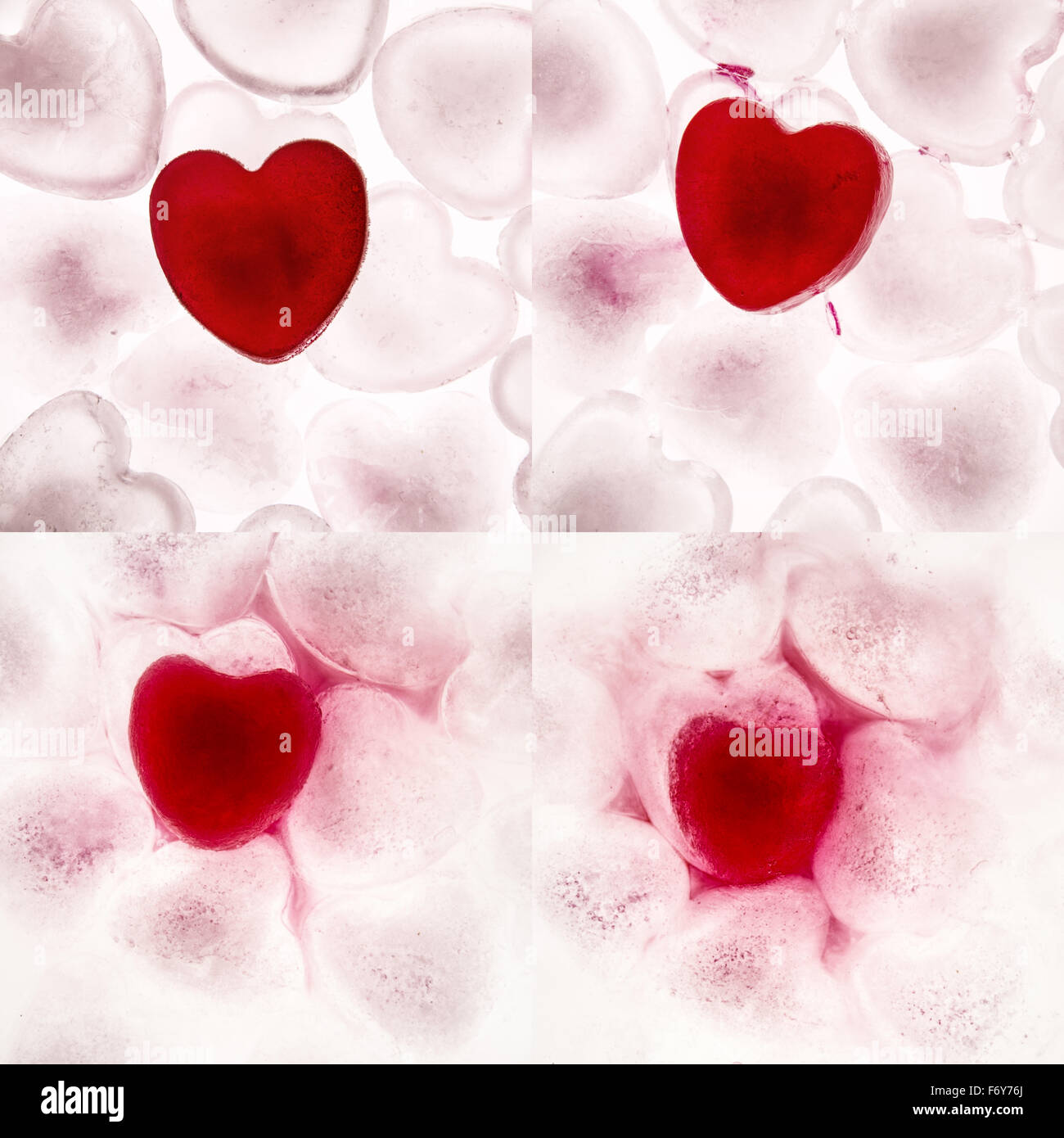 Ice cubes in the shape of a love heart melting into water Stock Photo ...