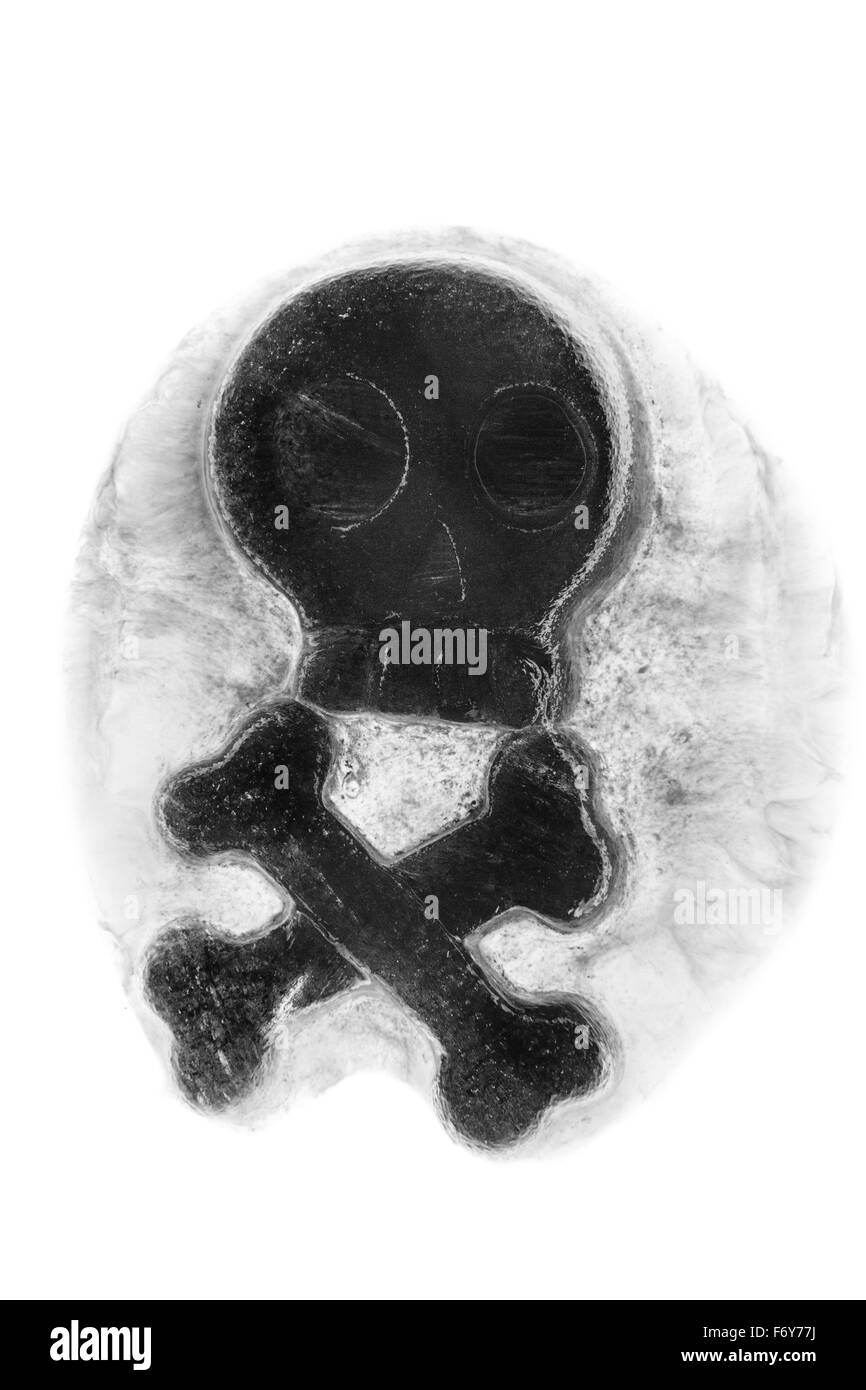 Ice Cube in the shape of a skull and crossbones melting on a white ...