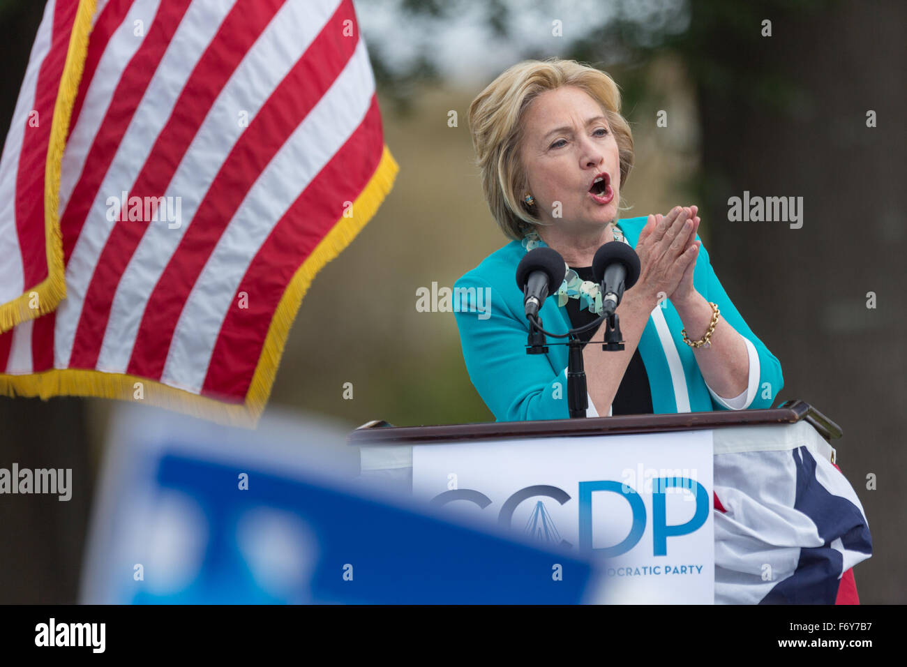 Campaigns charleston registers hi-res stock photography and images - Alamy