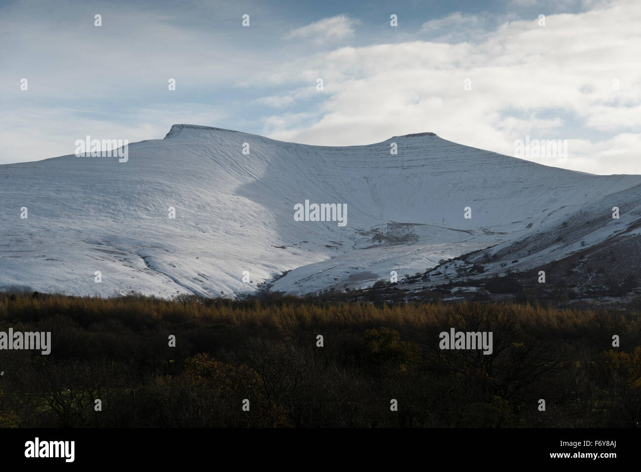 Libanus powys hi-res stock photography and images - Alamy