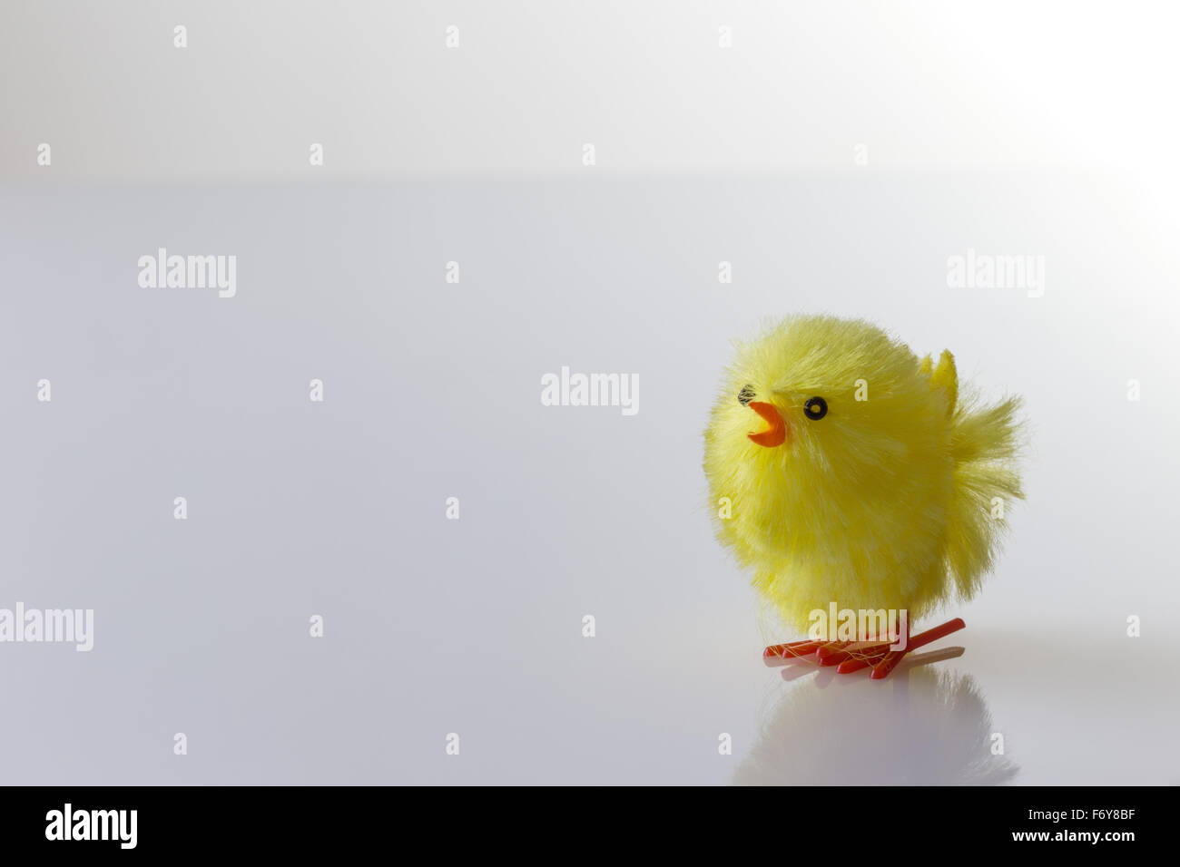 small fluffy decorative toy chicken shot in the studio on white perspex ...