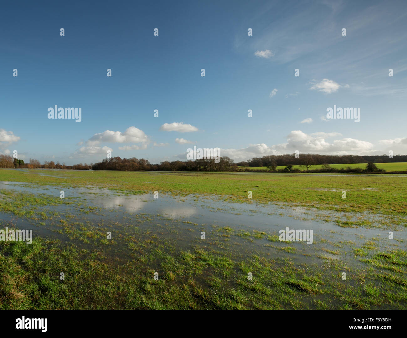 Boreham essex hi-res stock photography and images - Alamy
