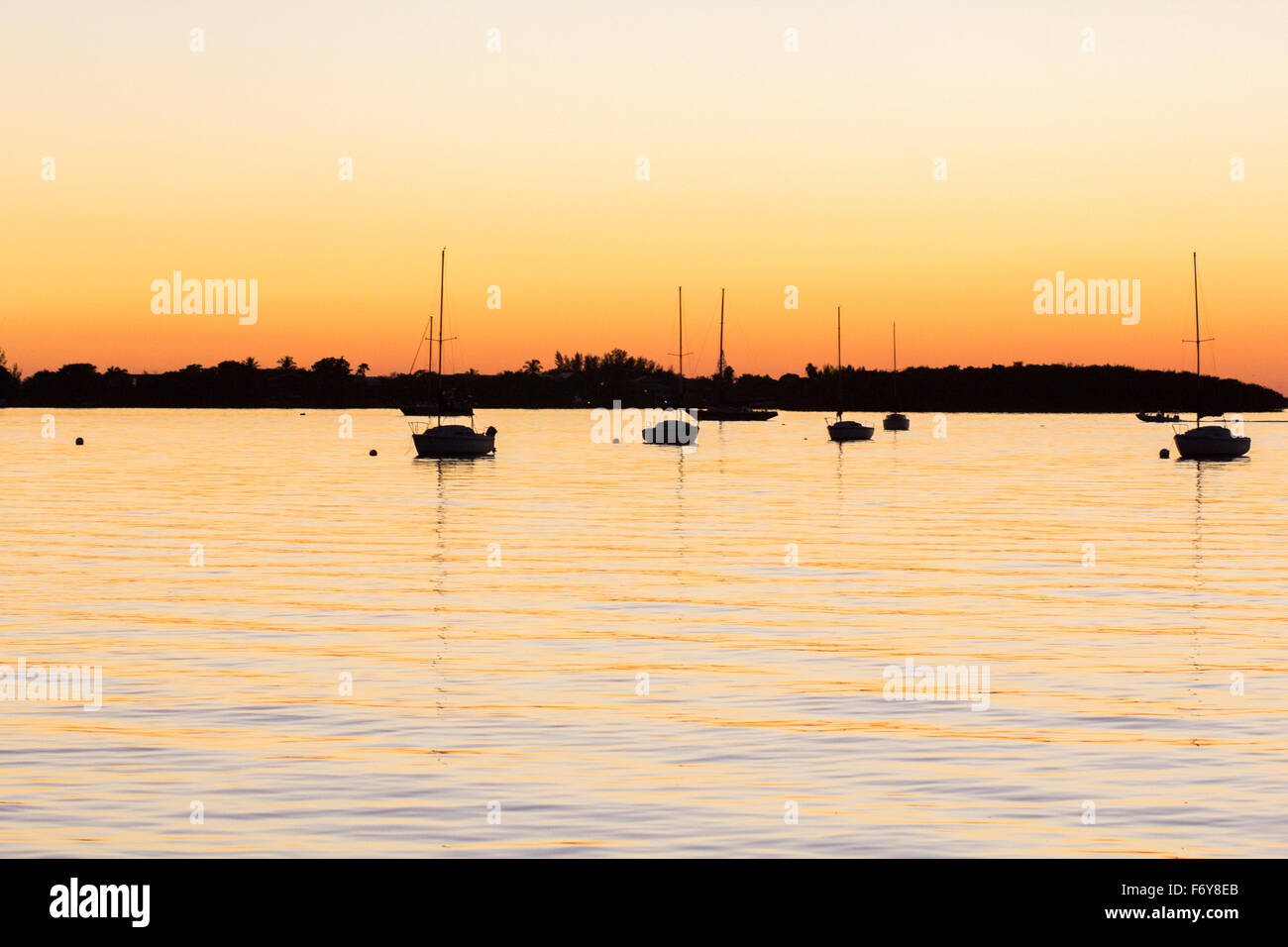 Floridas water hi-res stock photography and images - Alamy